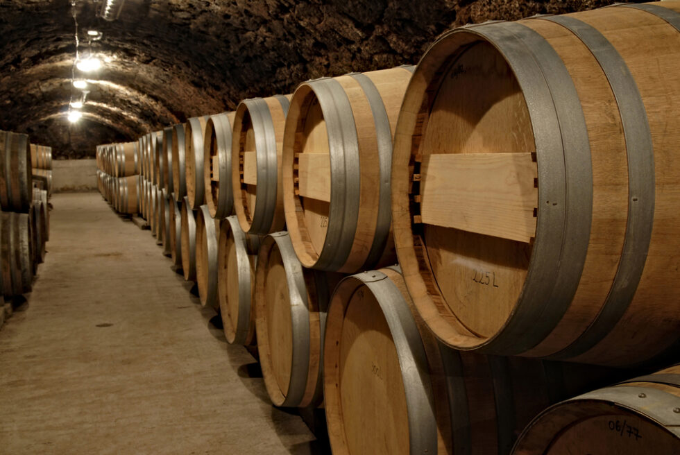 AltusWine | AltusWine